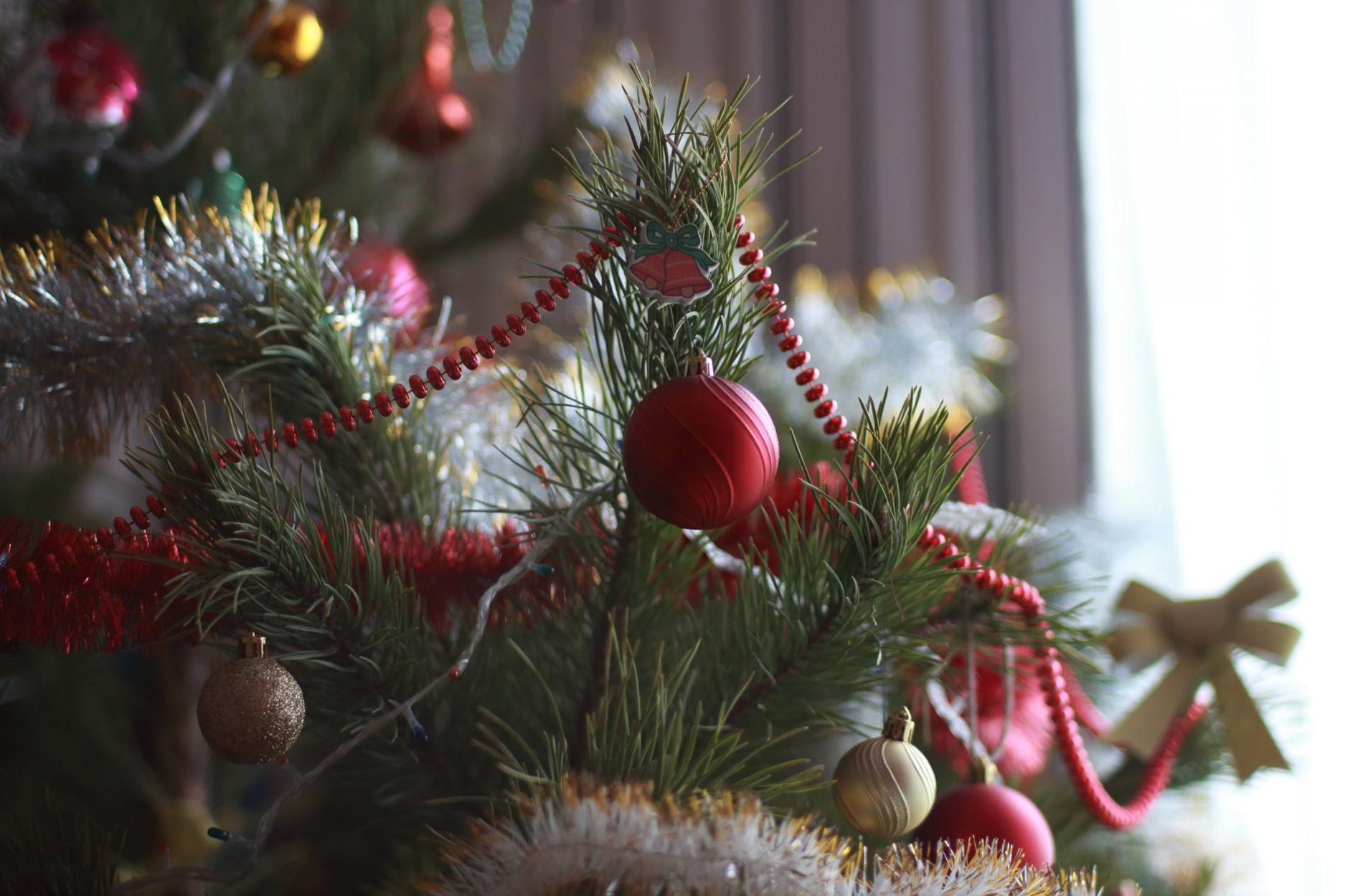 Recycle Your Christmas Trees, Feed Our Environment! | Rockford IL ...